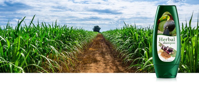 Bio-based PE film | Avery Dennison | LPM